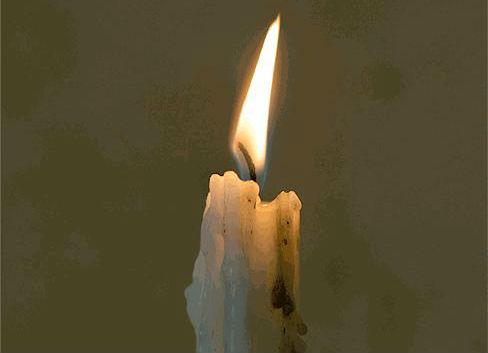 A Certain Light by Allan Forsyth - Contemporary Art